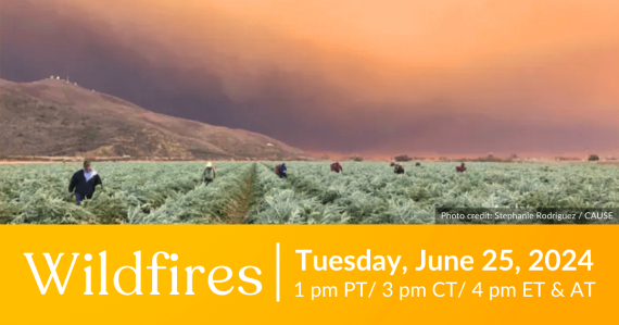 Upcoming Webinars | Migrant Clinicians Network